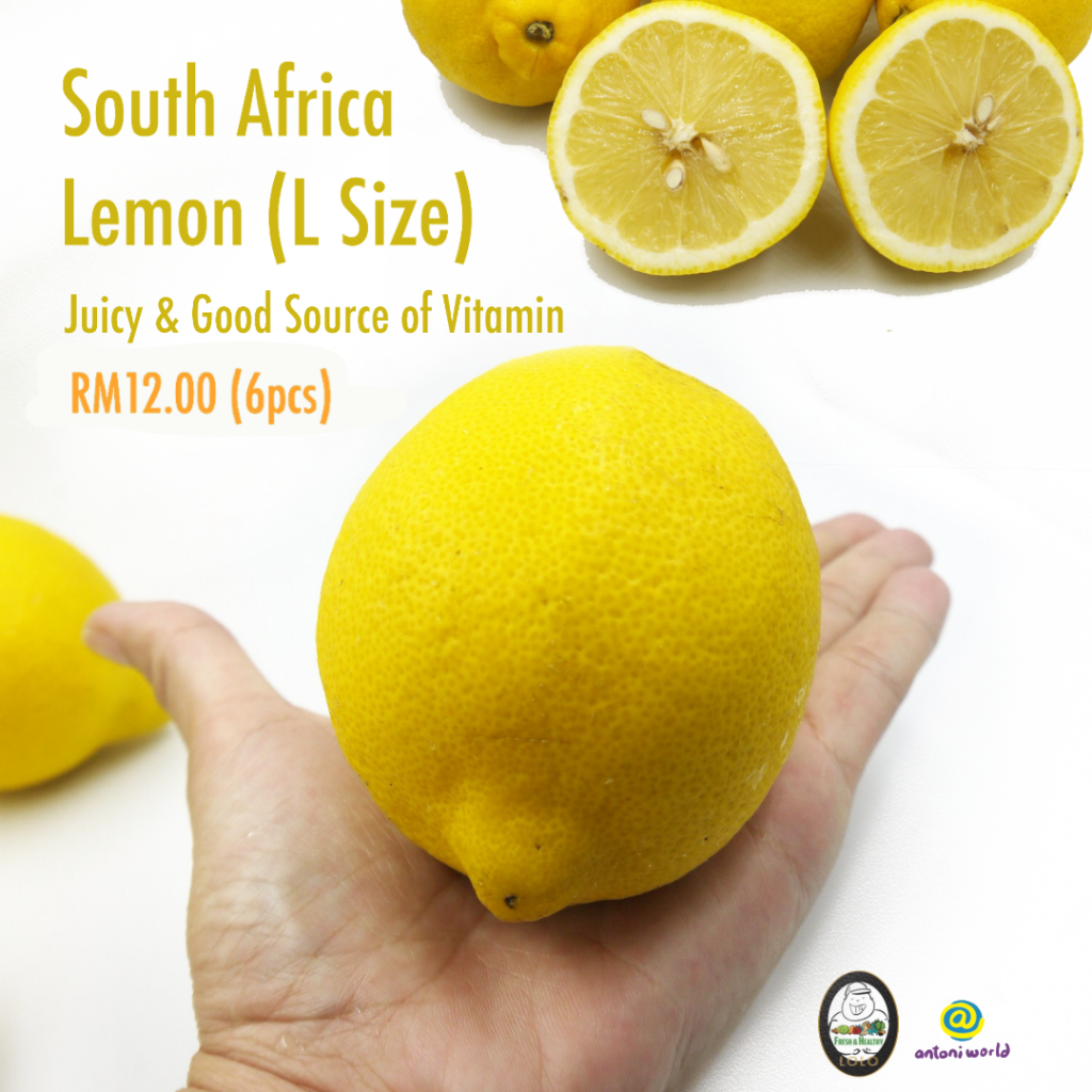 South Africa Lemon (L Size) - Antoni World